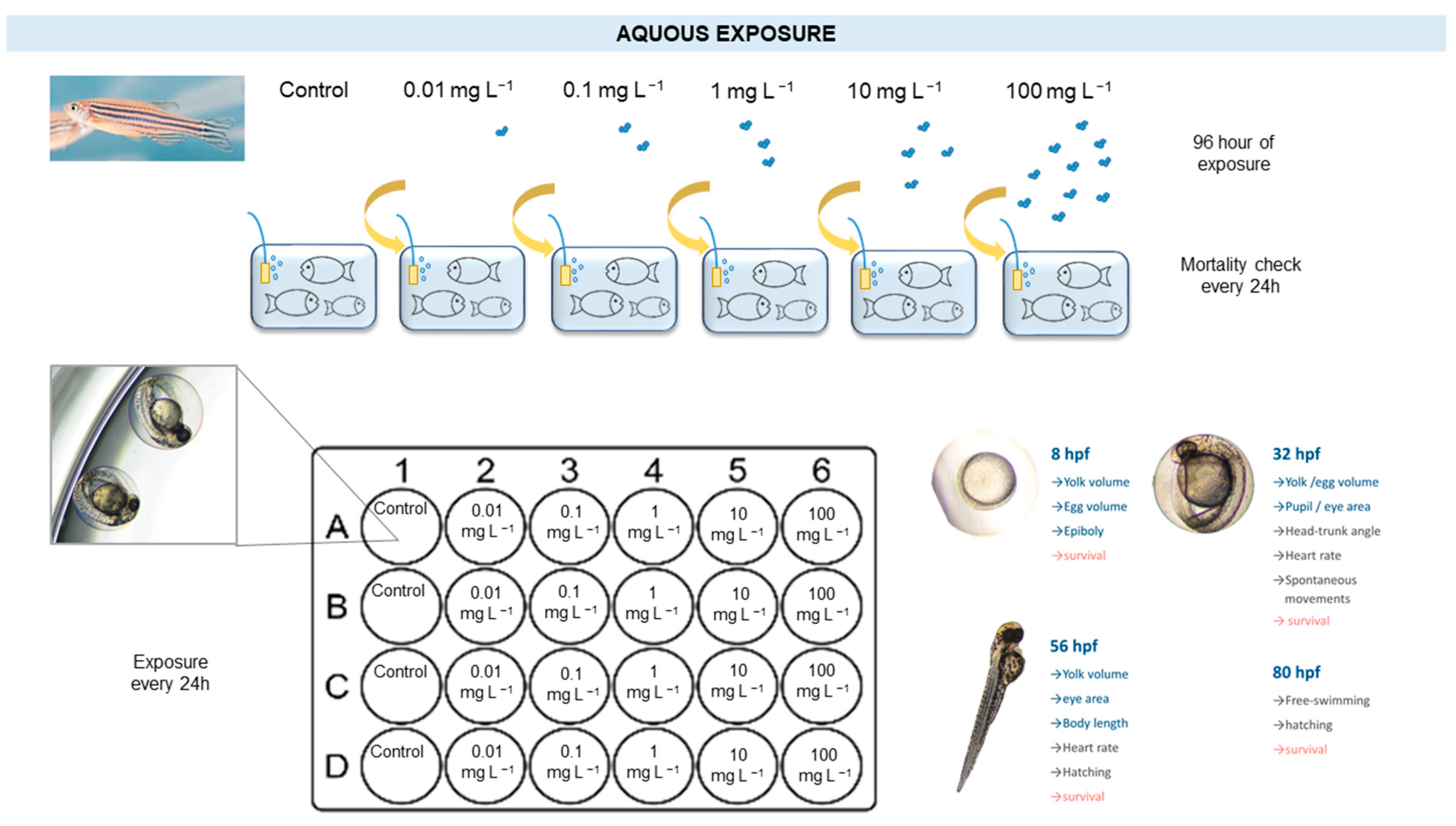 Acute Aquatic Toxicity to Zebrafish and Bioaccumulation in Marine ...