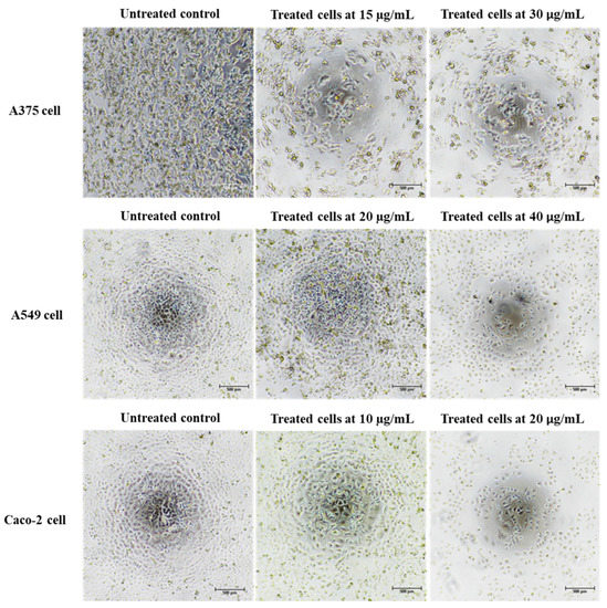 Innovative Eco-Friendly Microwave-Assisted Rapid Biosynthesis of Ag ...