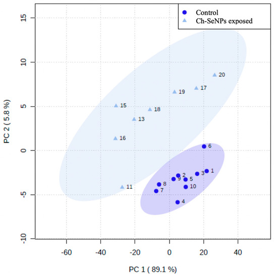 Unraveling the Mechanisms of Ch-SeNP Cytotoxicity against Cancer Cells ...