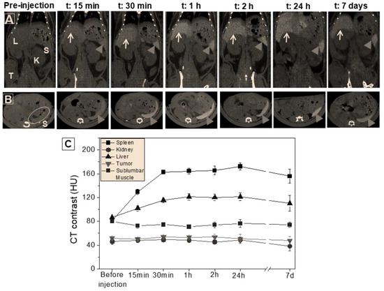 Nanoceria as Safe Contrast Agents for X-ray CT Imaging