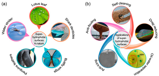 Recent Advances in Fabrication of Durable, Transparent, and Superhydrophobic Surfaces