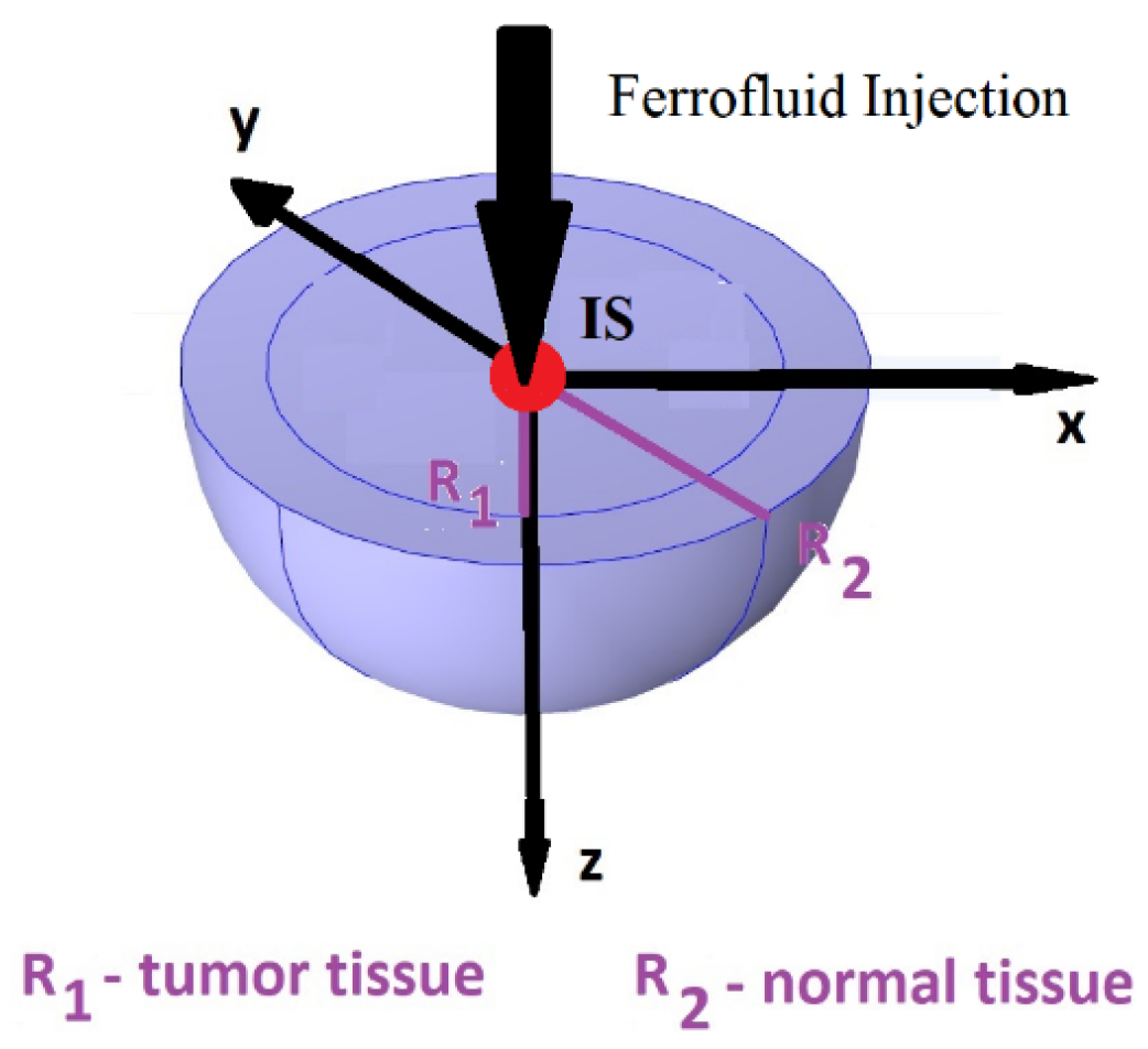 Cubic and Sphere Magnetic Nanoparticles for Magnetic Hyperthermia ...