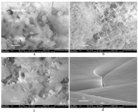 Synthesis under Normal Conditions and Morphology and Composition of AlF3 Nanowires