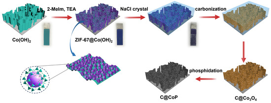 MOF Template-Derived Carbon Shell-Embedded CoP Hierarchical Nanosheet as Bifunctional Catalyst ...