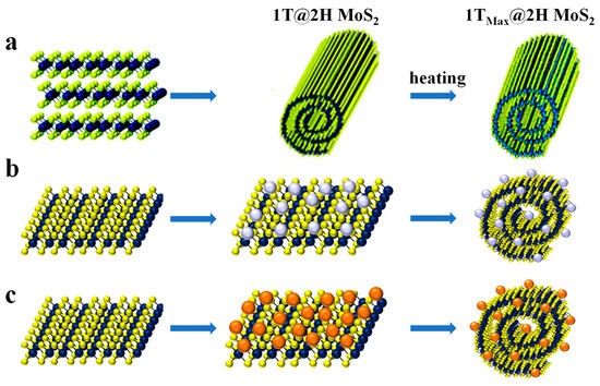 Transition Metal Dichalcogenides Nanoscrolls: Preparation and Applications