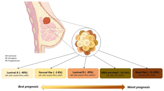 Peptides Targeting HER2-Positive Breast Cancer Cells and Applications in Tumor Imaging and ...
