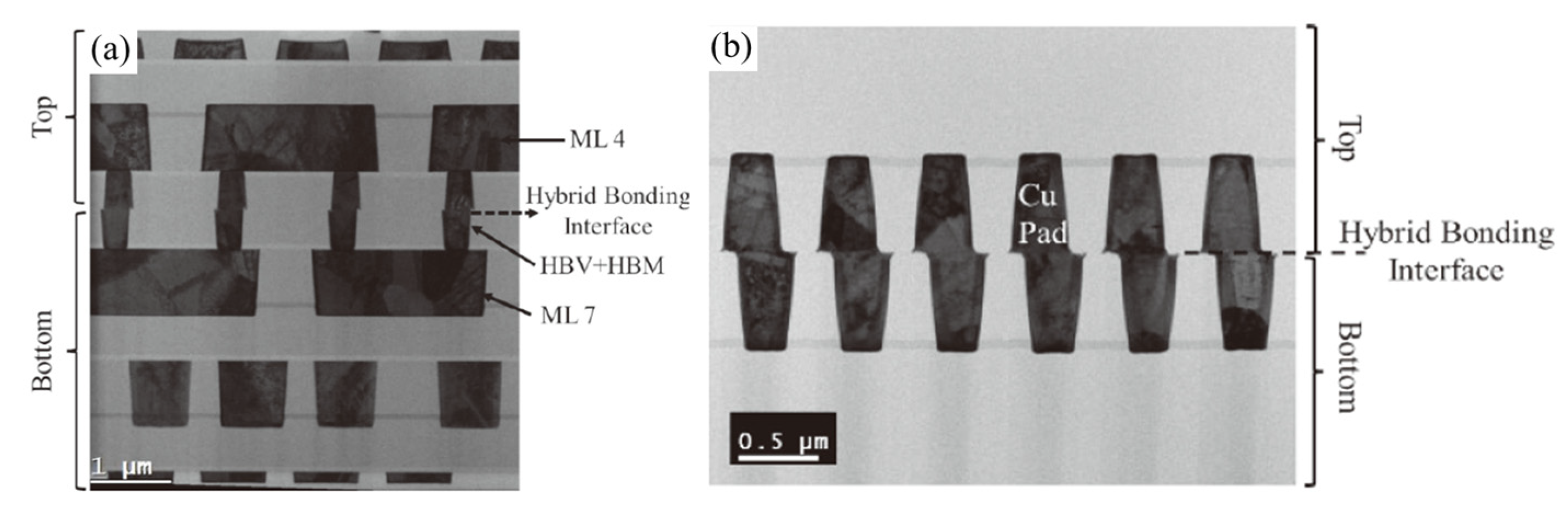 Cu Based Thermocompression Bonding And Cu Dielectric Hybrid Bonding For