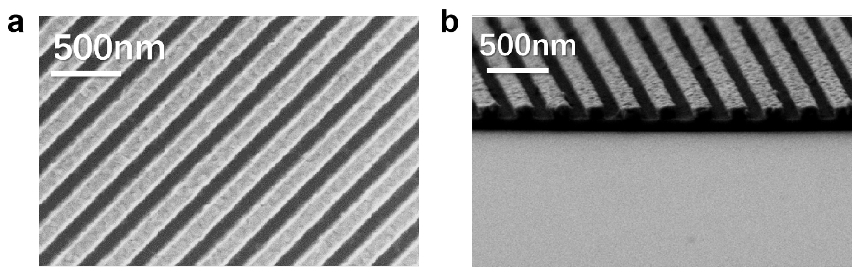 Shortwave Infrared InGaAs Detectors On-Chip Integrated with ...