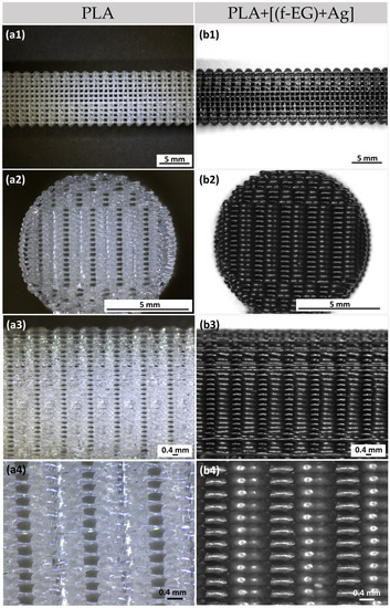 Biocompatible 3D-Printed Tendon/Ligament Scaffolds Based on Polylactic ...