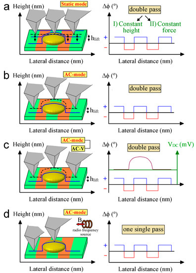 A Review of the Current State of Magnetic Force Microscopy to Unravel ...