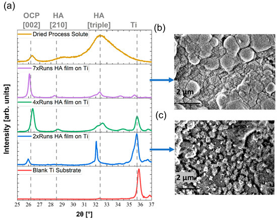 Development of Hydroxyapatite Coatings for Orthopaedic Implants from ...