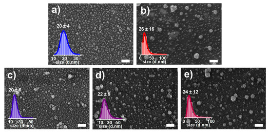 Exploring Pt-Pd Alloy Nanoparticle Cluster Formation through ...