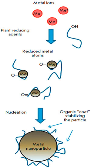 Advances in Phytonanotechnology: A Plant-Mediated Green Synthesis of Metal Nanoparticles Using ...