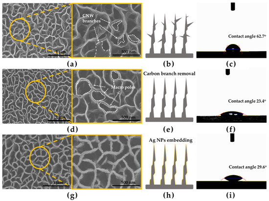 Surface-Enhanced Raman Spectroscopy (SERS) Investigation of a 3D ...