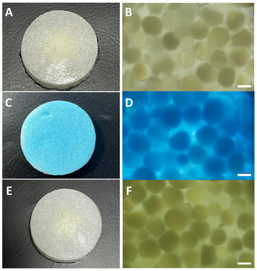 Water-Floating Hydrogel Polymer Microsphere Composites for Application ...