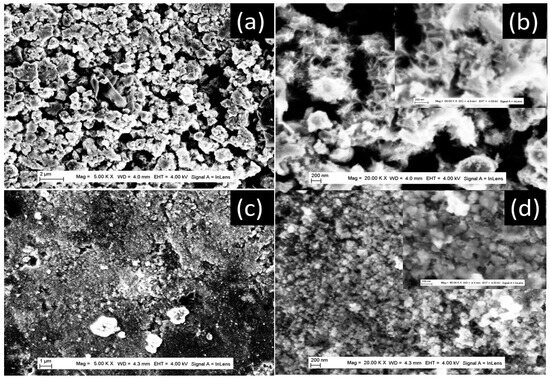 The Influence of TiO2 Nanoparticles Morphologies on the Performance of ...