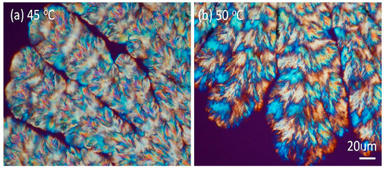 Probing the Nano-Assembly Leading to Periodic Gratings in Poly(p-dioxanone)