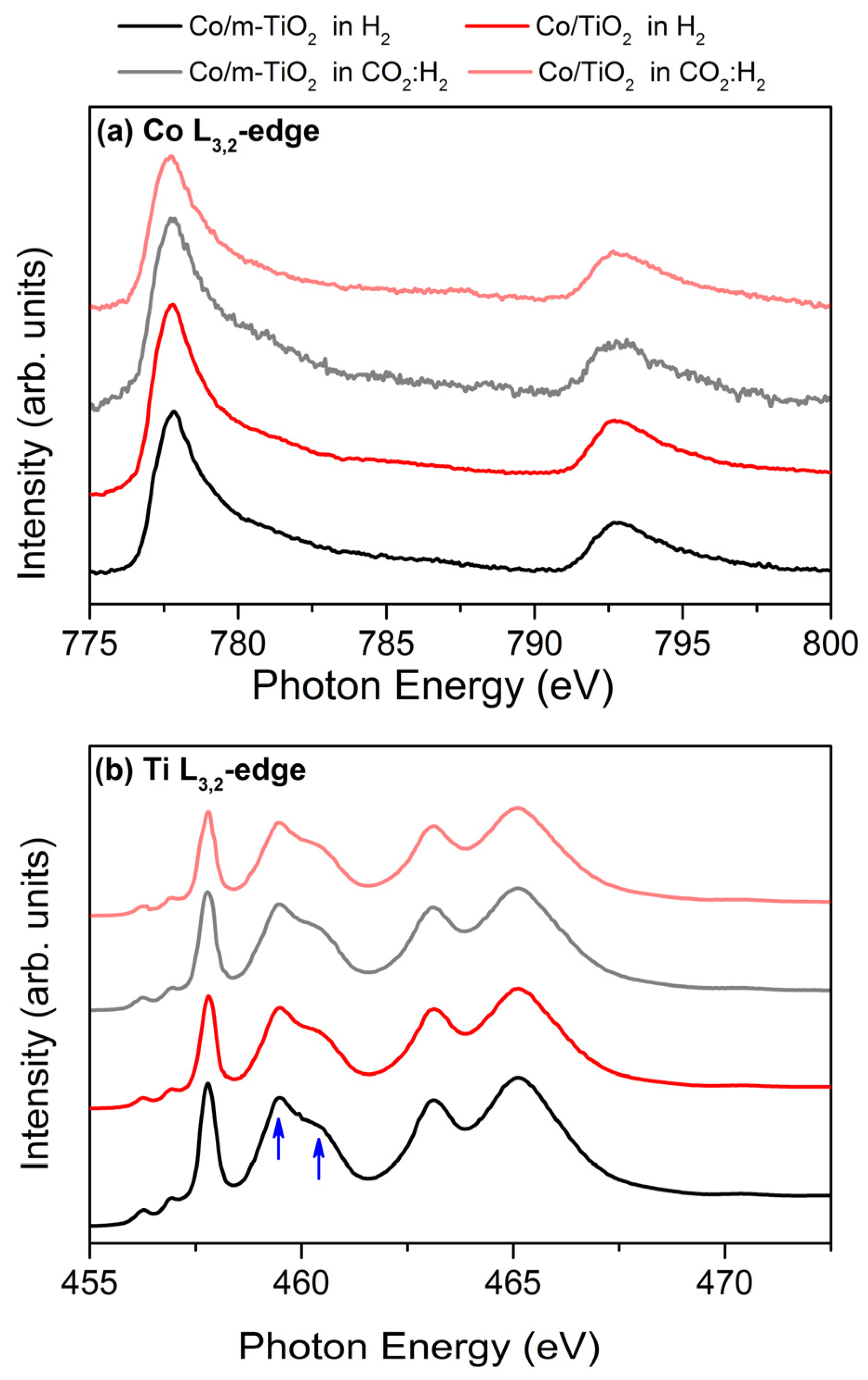 Nanomaterials | Free Full-Text | Direct Evidence of Dynamic Metal ...