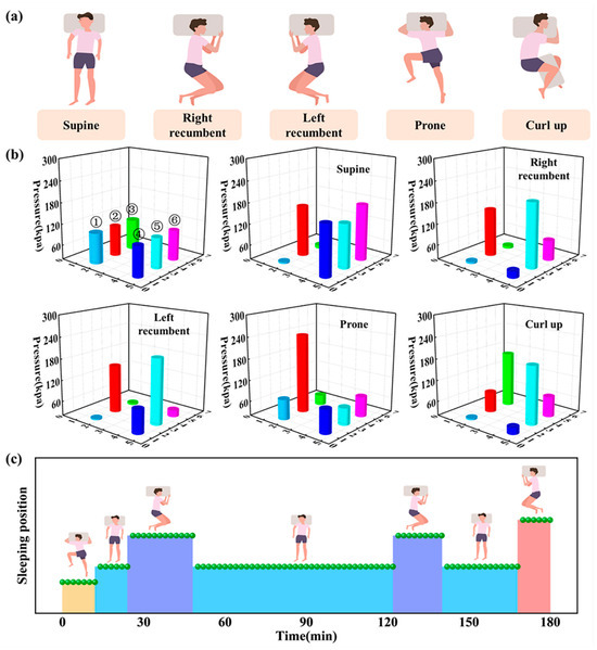 Hybrid Pressure Sensor Based on Carbon Nano-Onions and Hierarchical ...