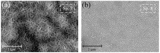 Synthesis of Titanium Oxide Nanotubes Loaded with Hydroxyapatite
