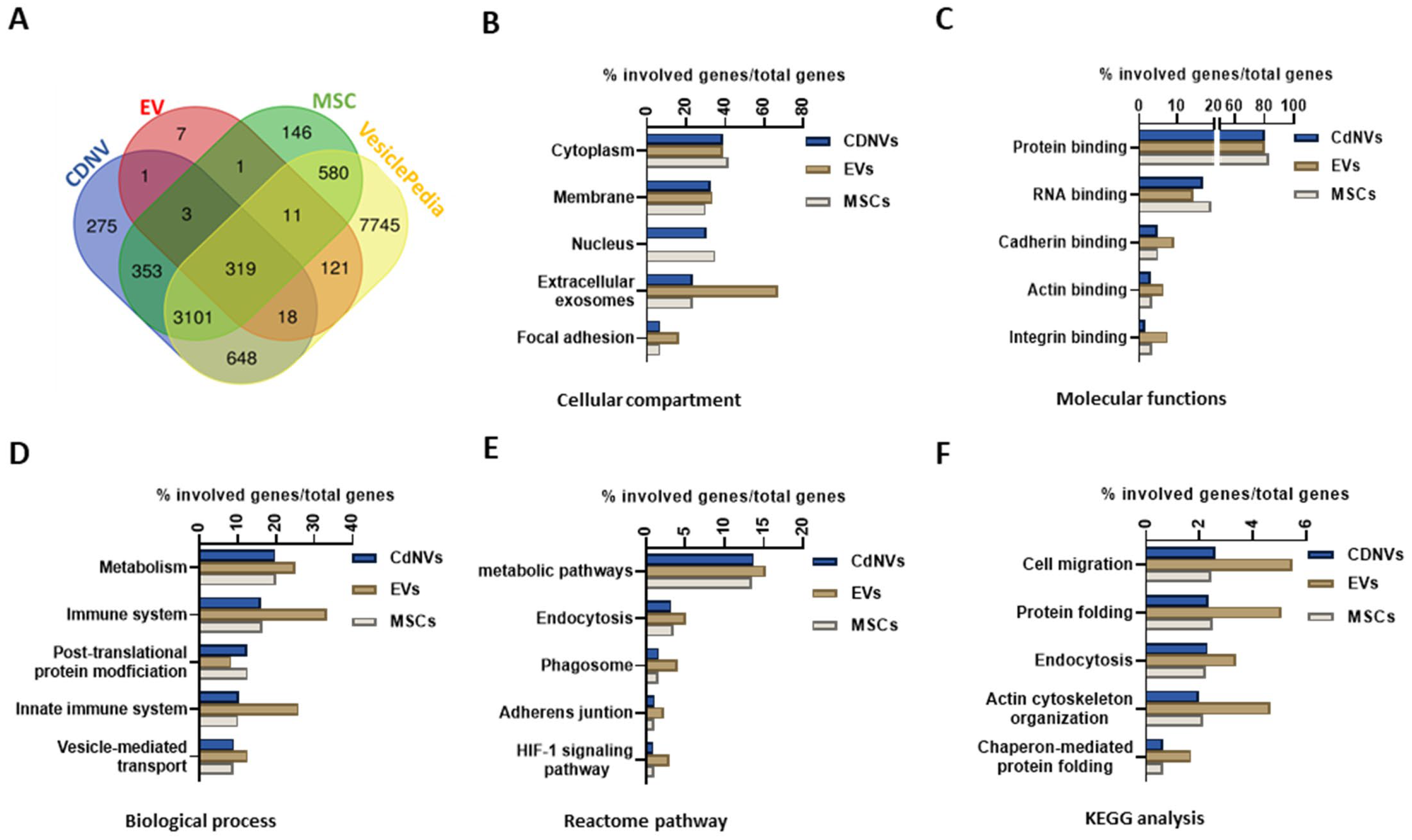 Engineering Cell-Derived Nanovesicles for Targeted Immunomodulation
