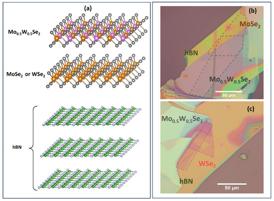 Tuning Interlayer Exciton Emission with TMD Alloys in van der Waals Heterobilayers of Mo0.5W0 ...