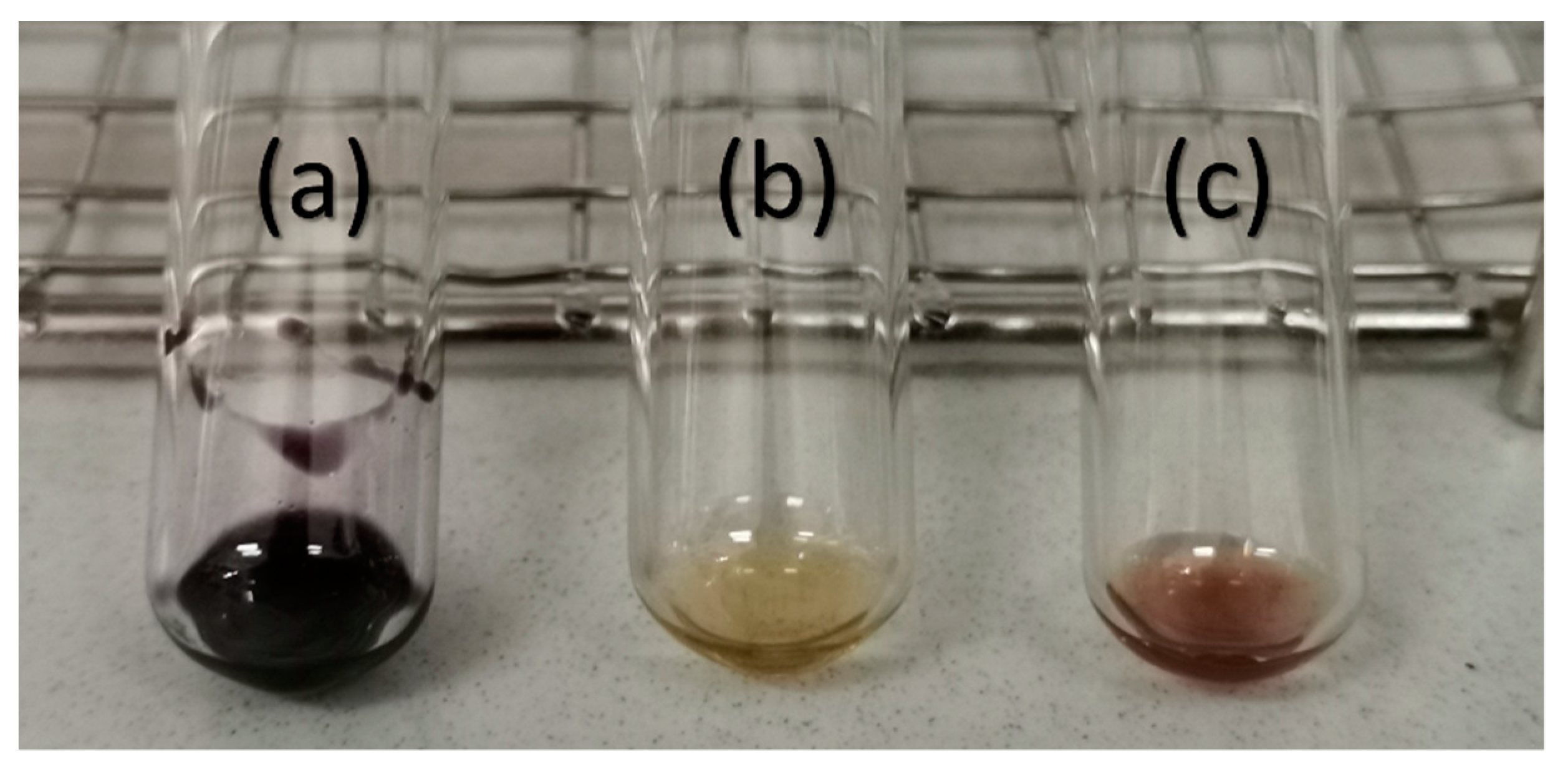 Microwave-Assisted Silanization of Magnetite Nanoparticles Pre ...
