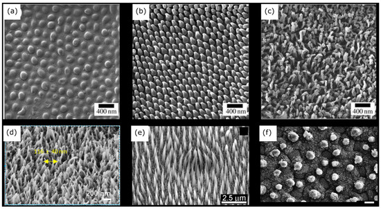 Progress in Nanostructured Mechano-Bactericidal Polymeric Surfaces for ...