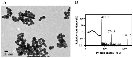 Harnessing Nuclear Energy to Gold Nanoparticles for the Concurrent ...