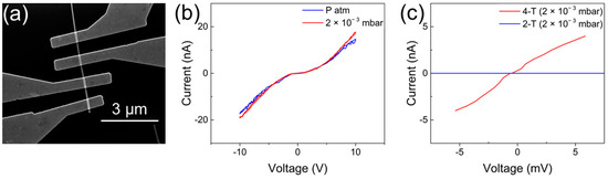 Electrical and Thermal Conductivities of Single CuxO Nanowires