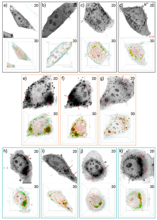 Nanomaterials | Free Full-Text | Biocompatibility Evaluation of TiO2, Fe3O4, and TiO2/Fe3O4 ...