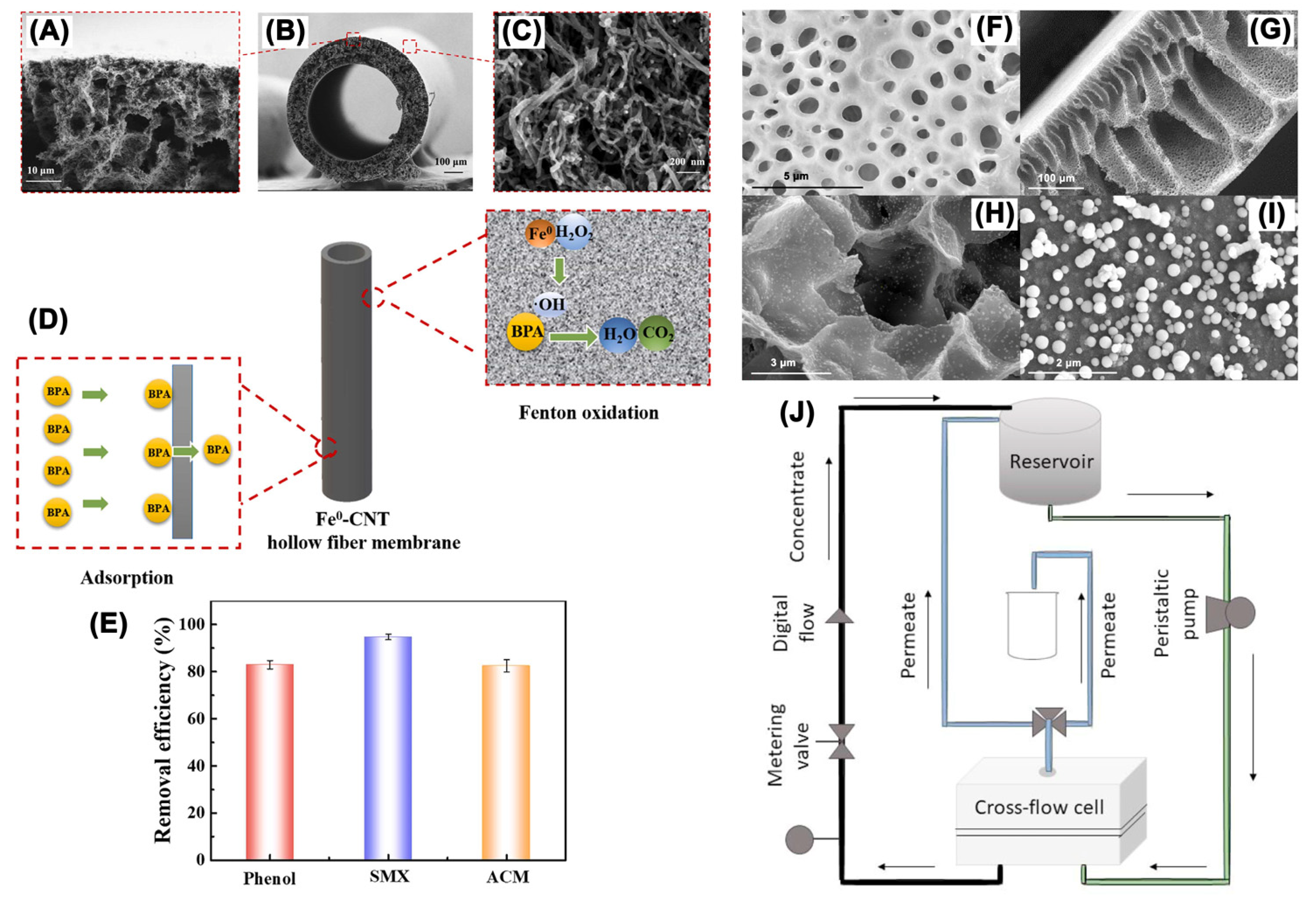 Nanomaterials | Free Full-Text | Recent Advances in Nanoscale Zero-Valent Iron (nZVI)-Based ...