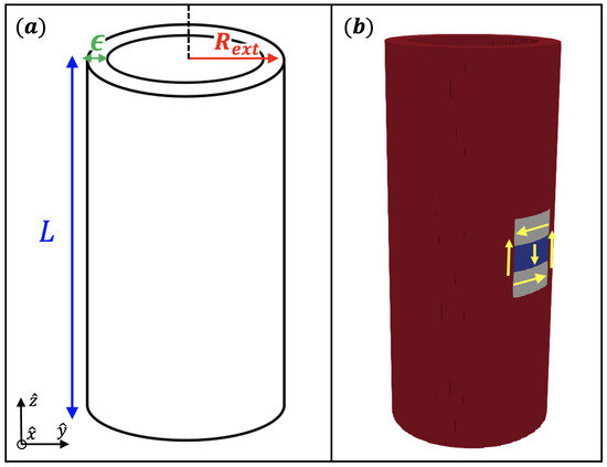 Magnetic Bimerons in Cylindrical Nanotubes