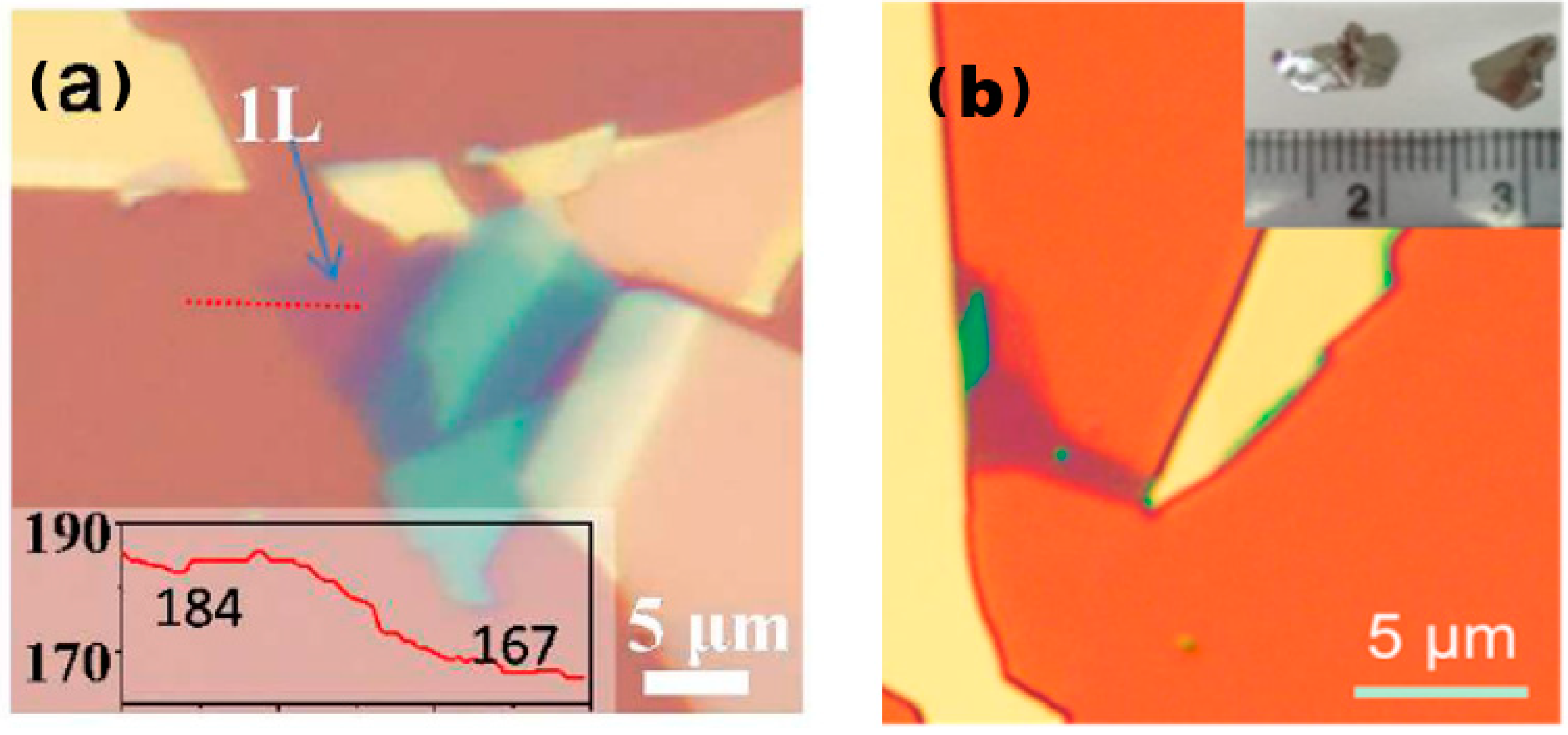 Progress on Two-Dimensional Transitional Metal Dichalcogenides Alloy ...