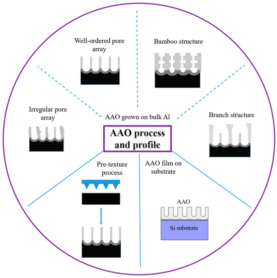 Advances in the Fabrication of Nanoporous Anodic Aluminum Oxide and Its ...