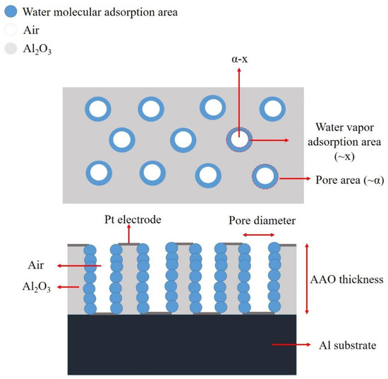 Advances in the Fabrication of Nanoporous Anodic Aluminum Oxide and Its Applications to Sensors ...