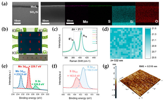 Integrated Logic Circuits Based on Wafer-Scale 2D-MoS2 FETs Using ...