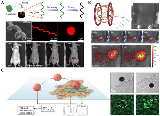 Medical Imaging Technology for Micro/Nanorobots