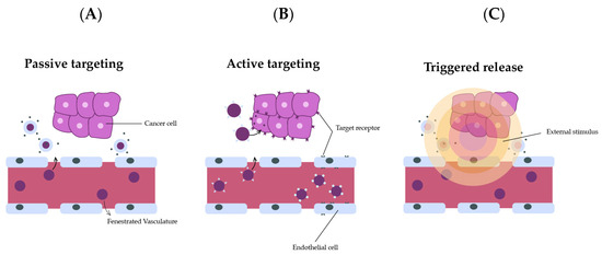 Nanomaterials | Free Full-Text | Application of Nanoparticles in Cancer ...