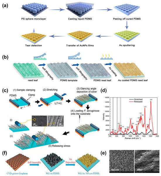 Recent Development and Applications of Stretchable SERS Substrates