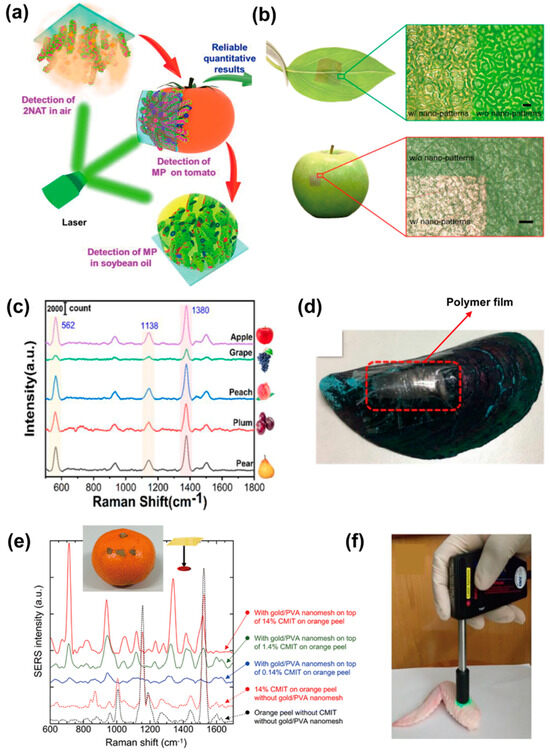 Recent Development and Applications of Stretchable SERS Substrates