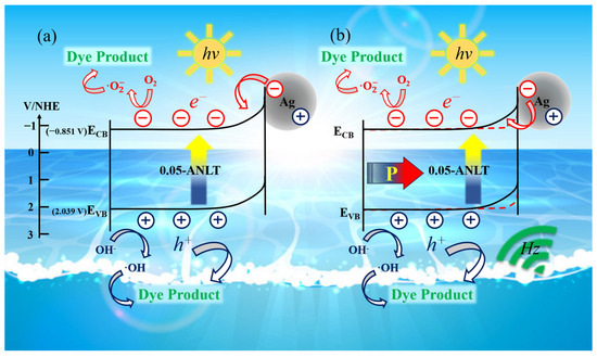 Nanomaterials | Free Full-Text | Enhanced Catalytic Performance of Ag NP/0.95AgNbO3-0.05LiTaO3 ...