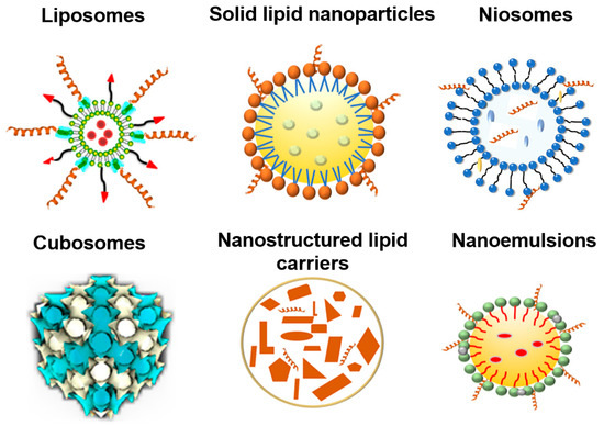 Nanomaterials | Free Full-Text | Recent Uses of Lipid Nanoparticles ...