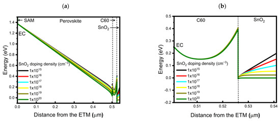 Effects of the Electrical Properties of SnO2 and C60 on the Carrier ...
