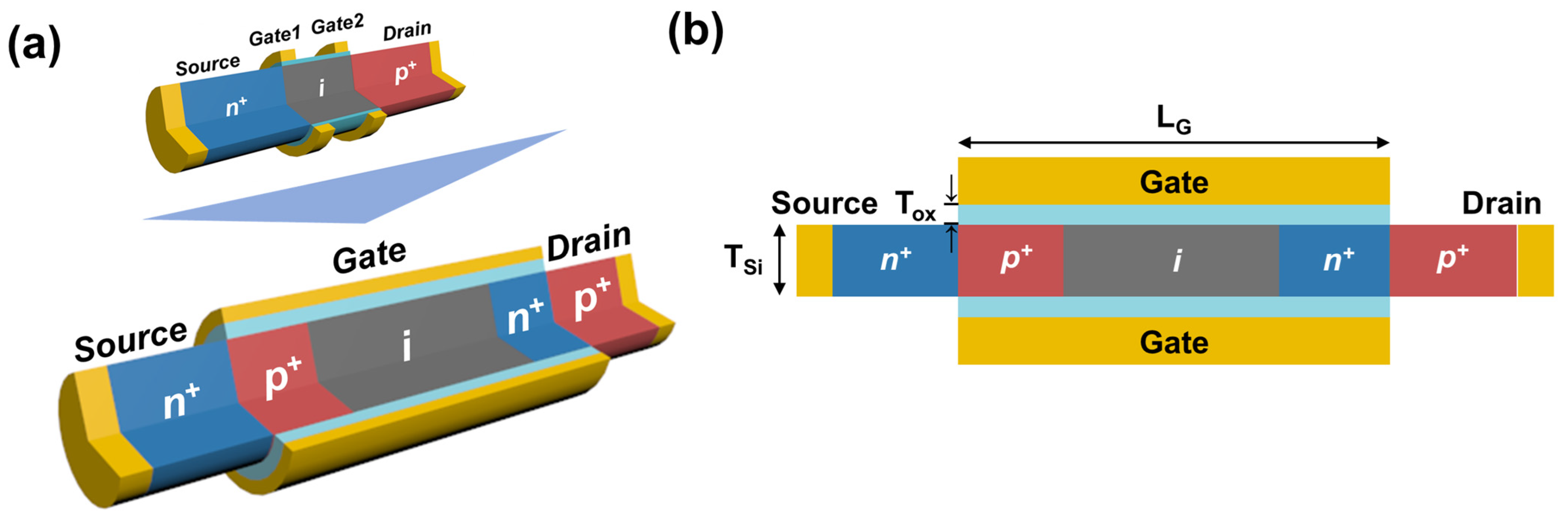Reconfigurable Field Effect Transistor At James Earle Blog