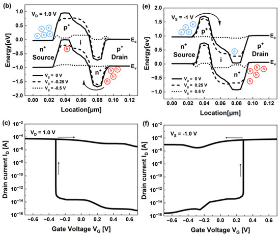 Reconfigurable Feedback Field-Effect Transistors with a Single Gate