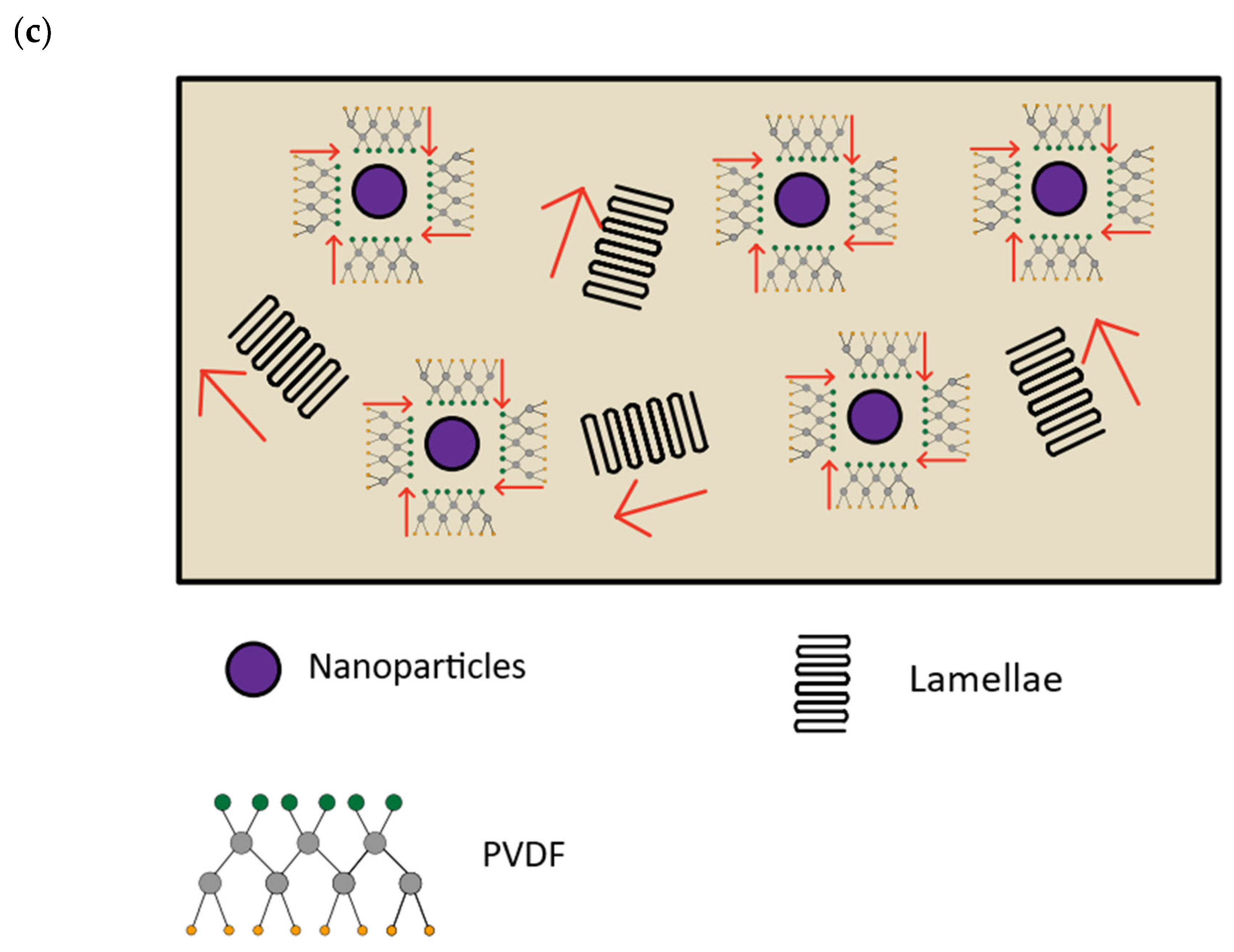 Review of Piezoelectric Properties and Power Output of PVDF and ...