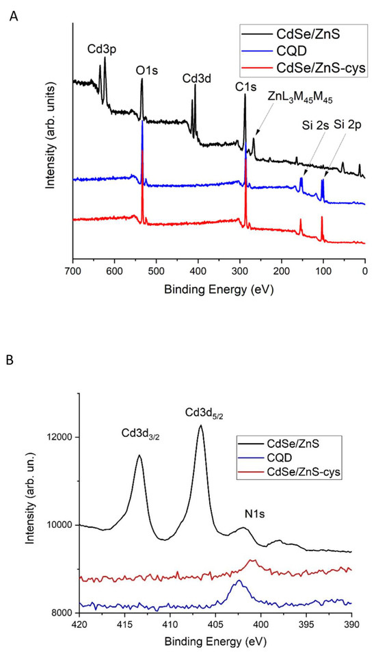 Comparison of Toxicity and Cellular Uptake of CdSe/ZnS and Carbon Quantum Dots for Molecular ...