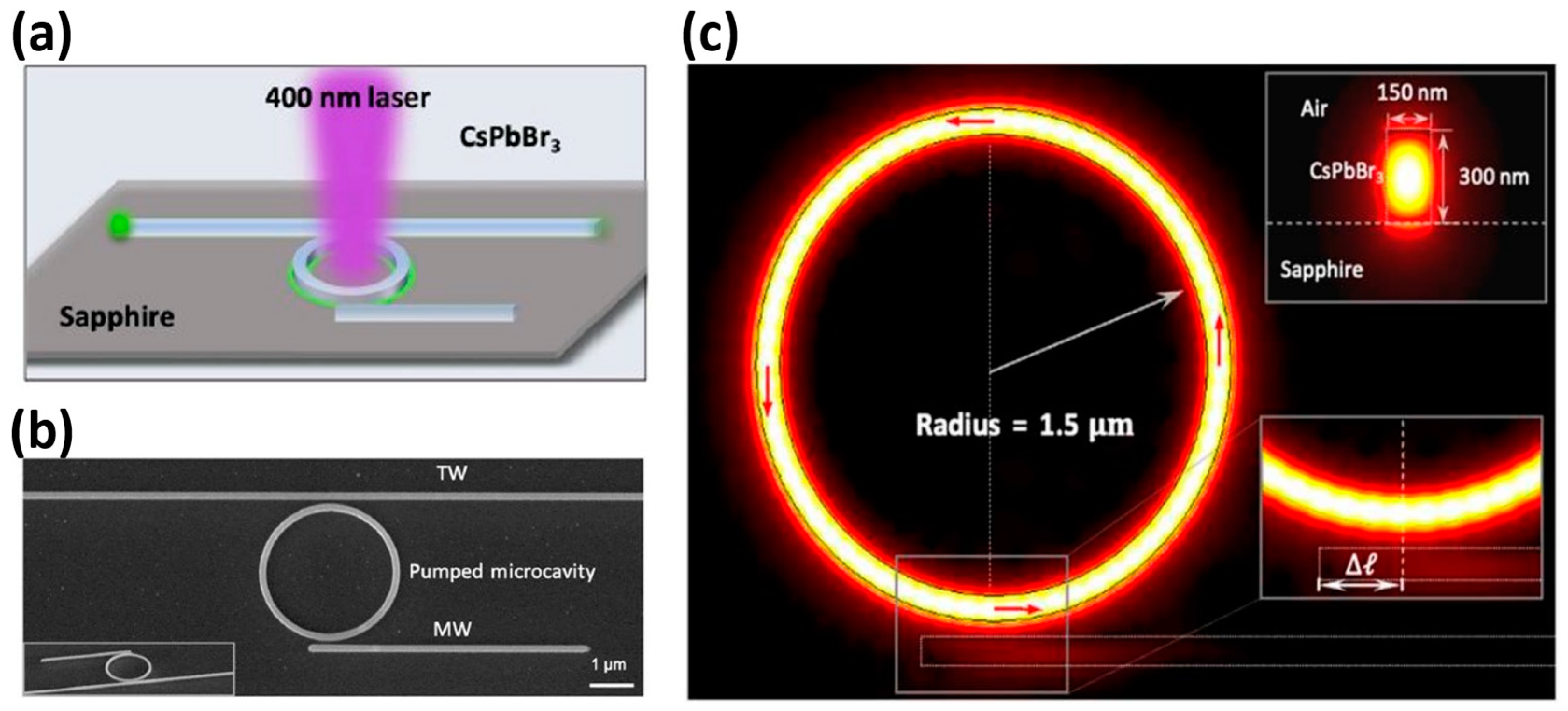 Perovskite Topological Lasers: A Brand New Combination