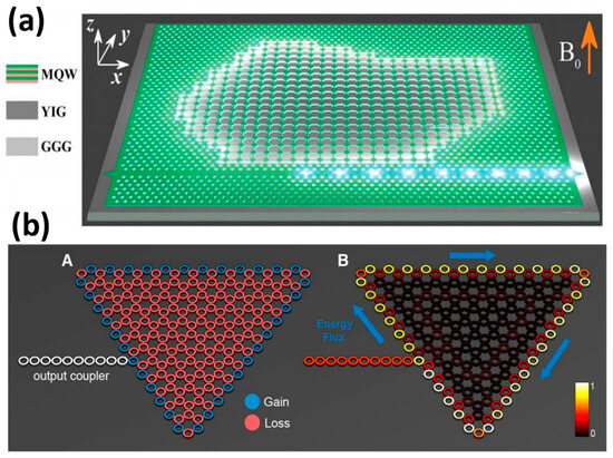 Perovskite Topological Lasers: A Brand New Combination